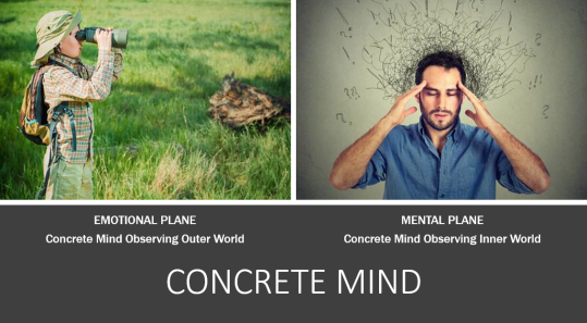 CHAPTER FIFTEEN: The Mental Plane – Three Types of Mind – Soul to ...